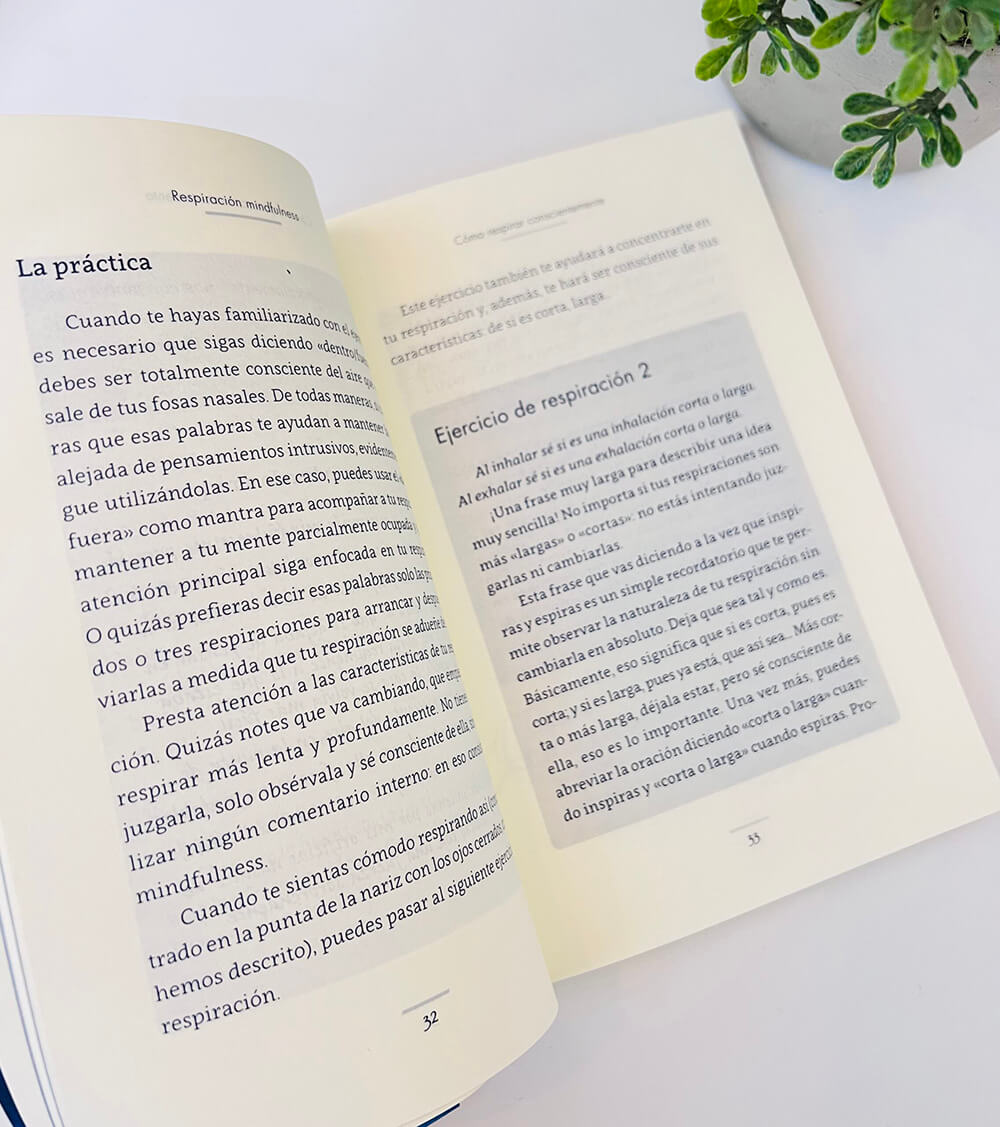 Libro Practicando el Poder del Ahora - Om Cristales